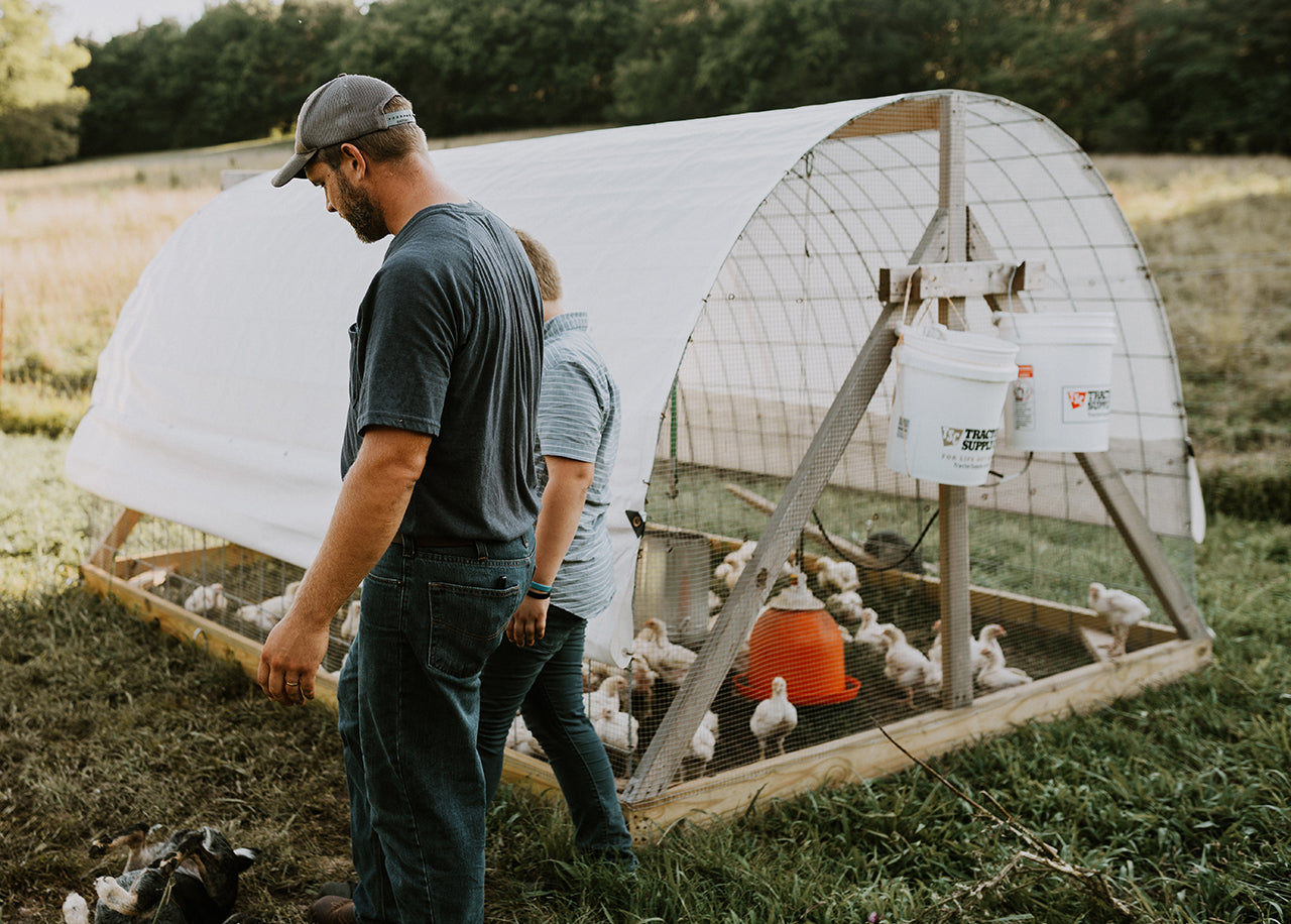 True Blue Farm – TrueBlueFarm